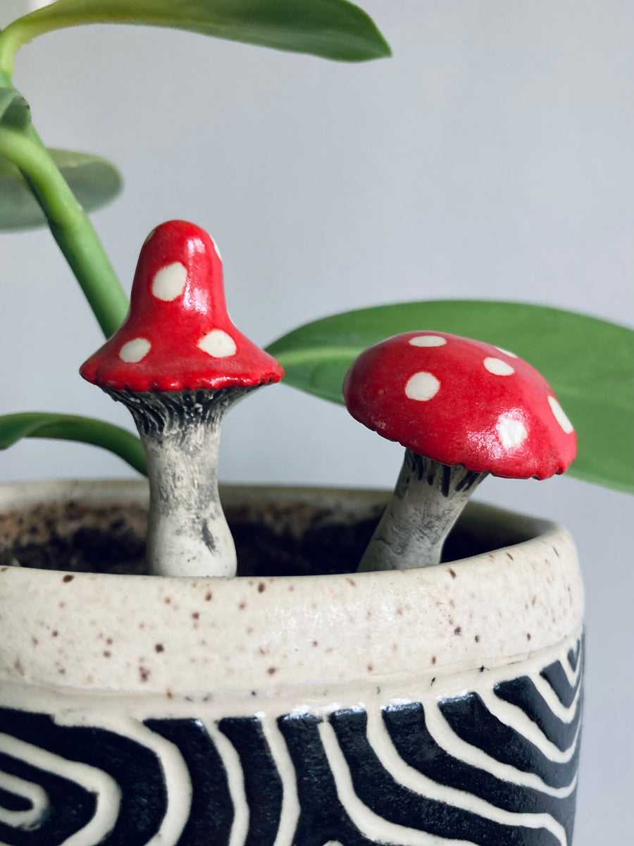 Mushrooms – Claybrook Pottery