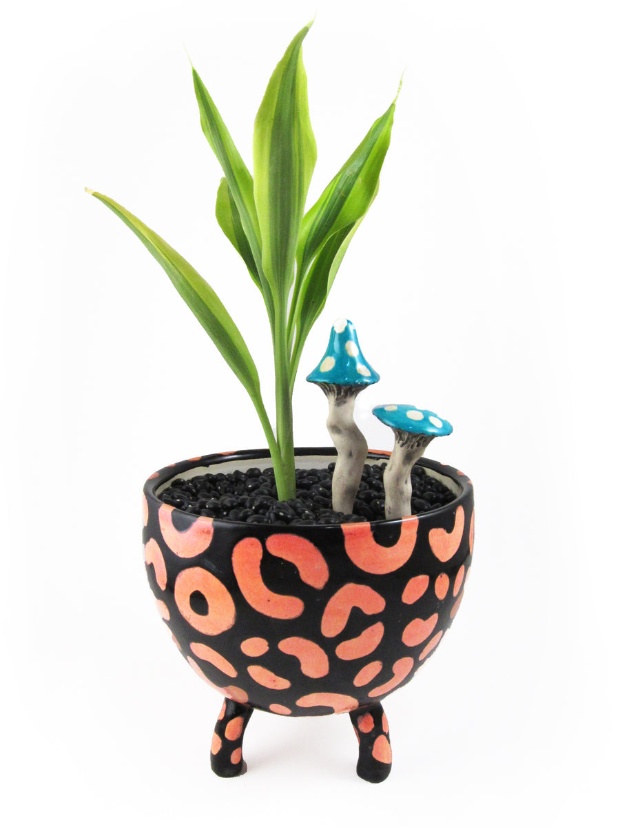 Planters – Claybrook Pottery